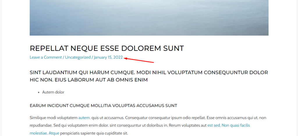 How to Display “Last Updated” instead of “Published” Date - Shop Exertpro